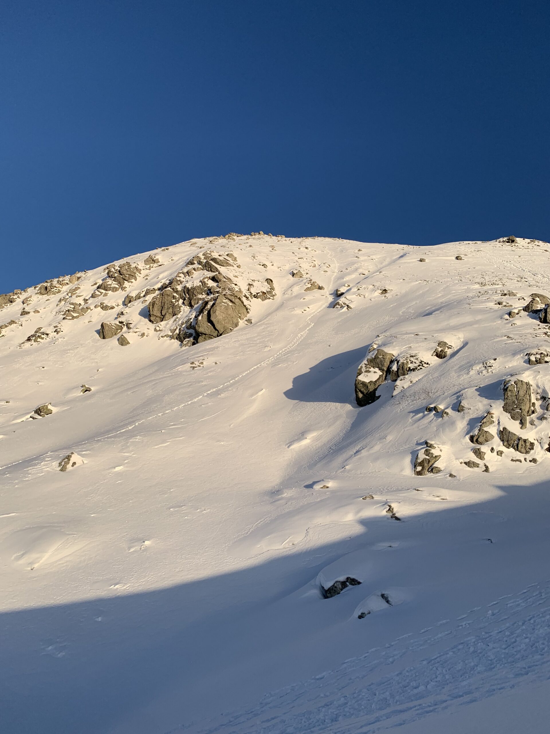 威厳と余裕 - tenrakatsuno