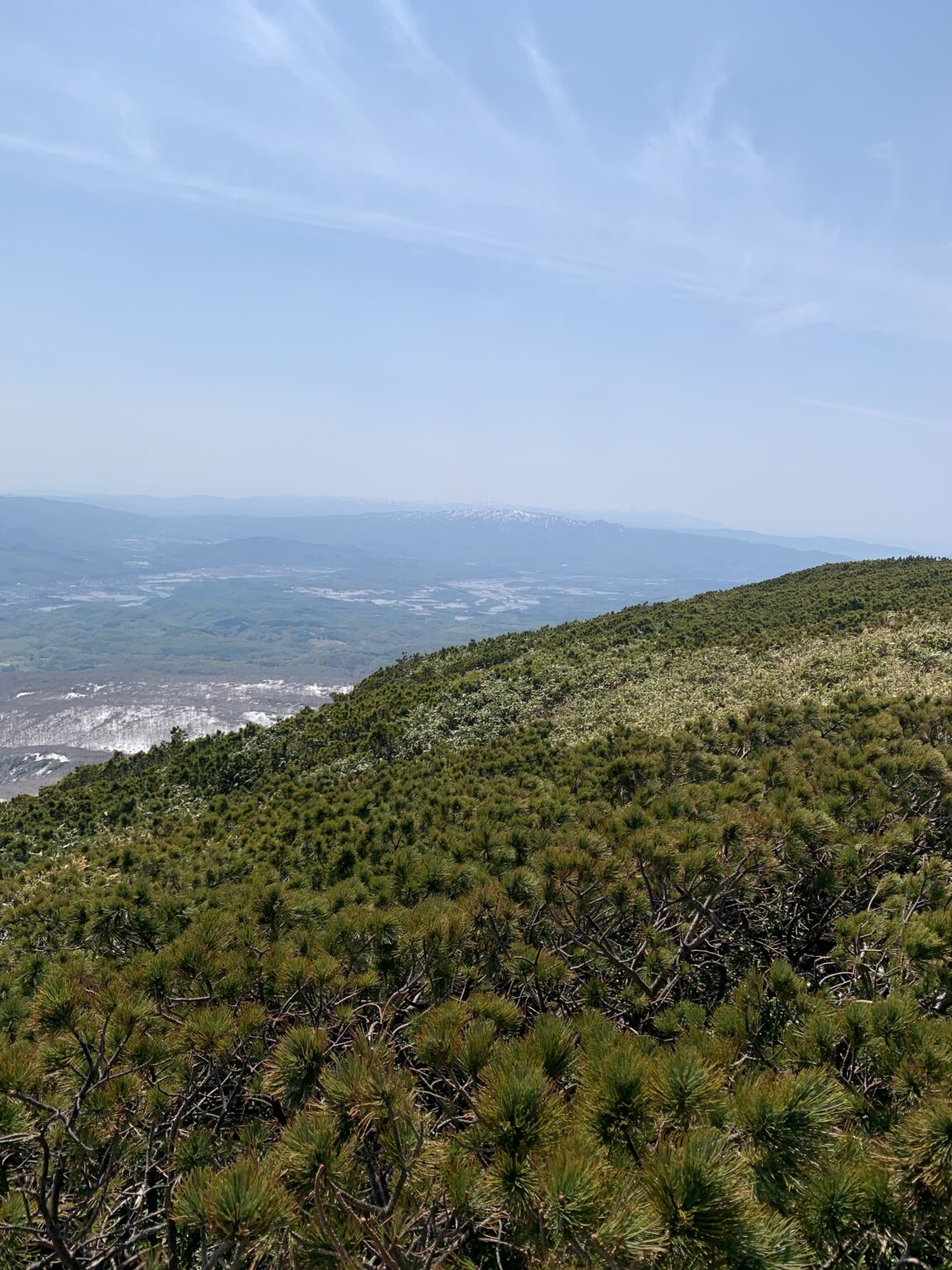 オフトレーニング - tenrakatsuno