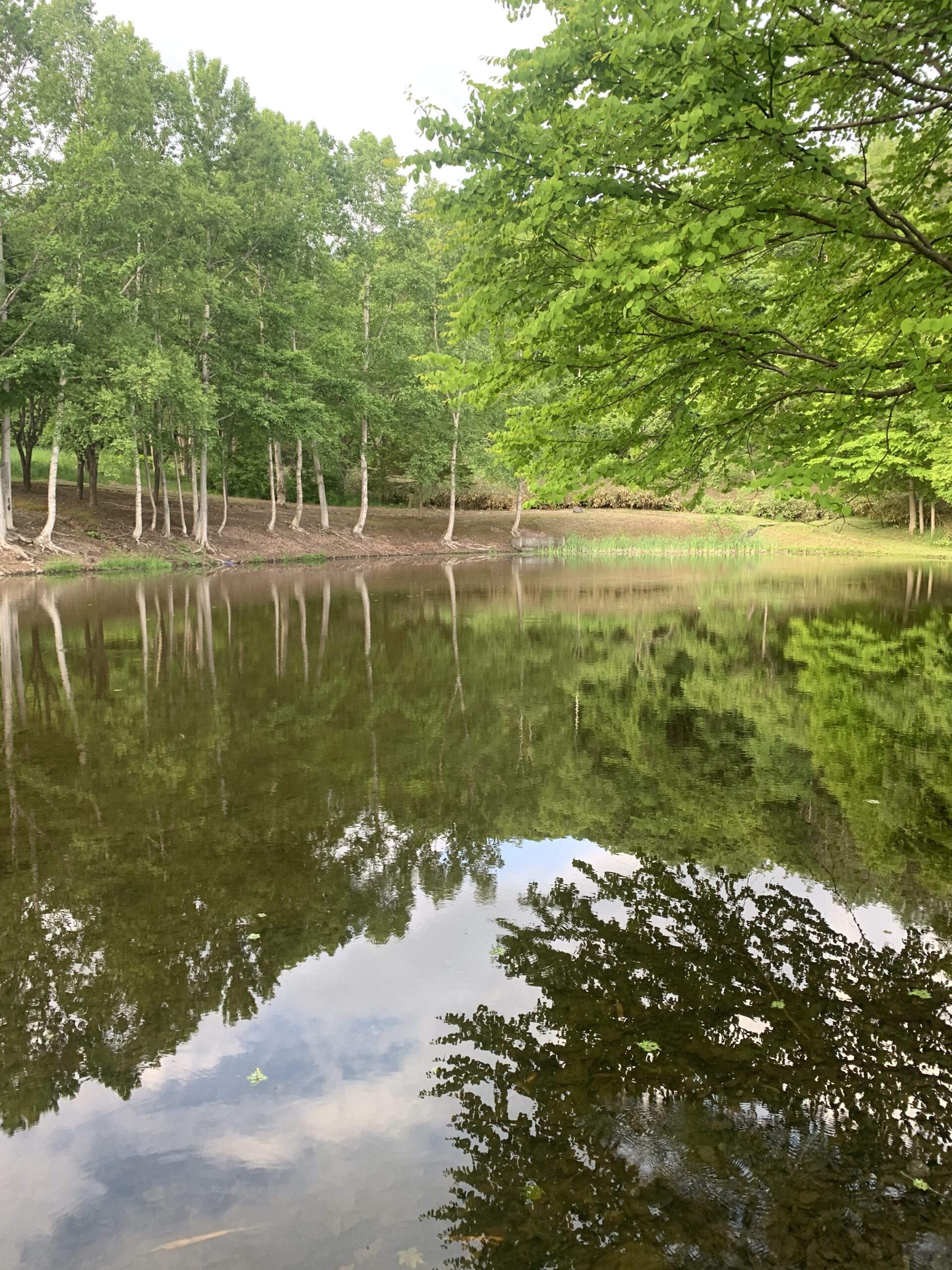 緊張感 - tenrakatsuno