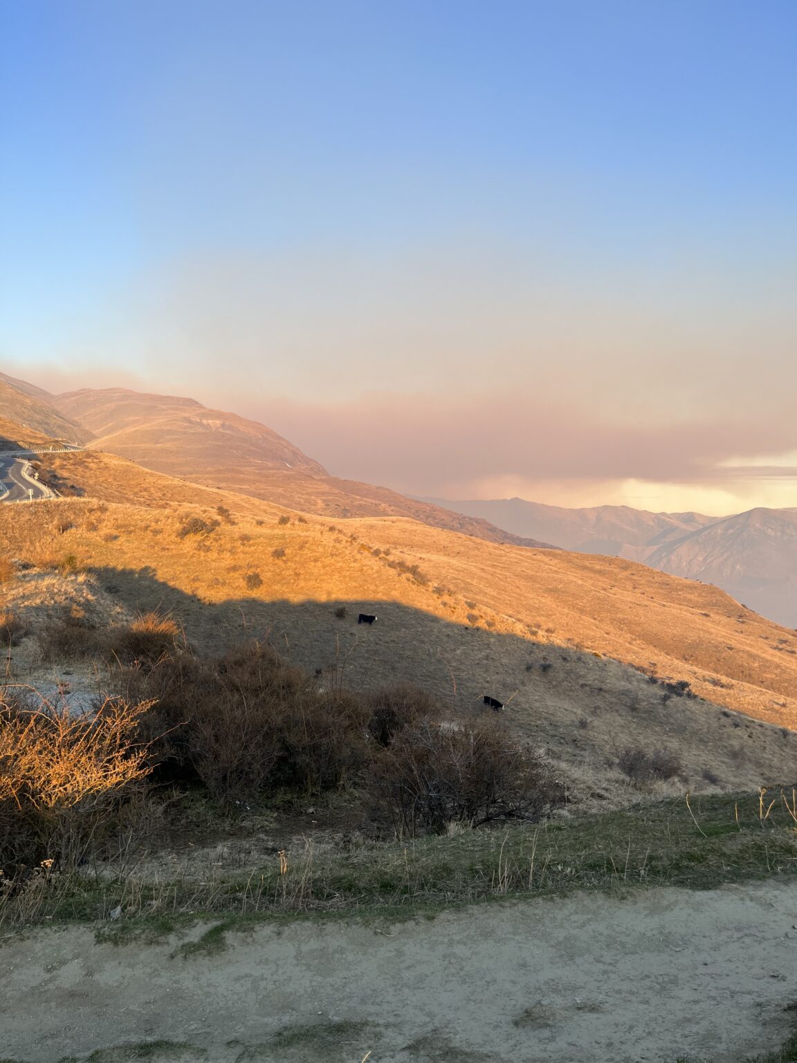 『挑戦のライン』 - tenrakatsuno