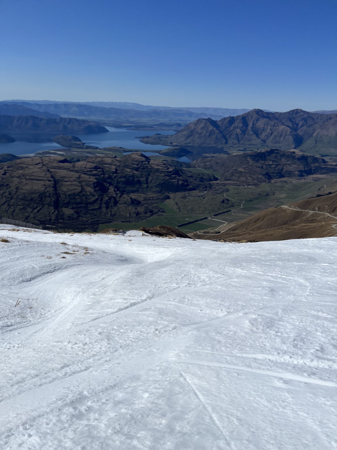 減ったこと、増えたこと - tenrakatsuno