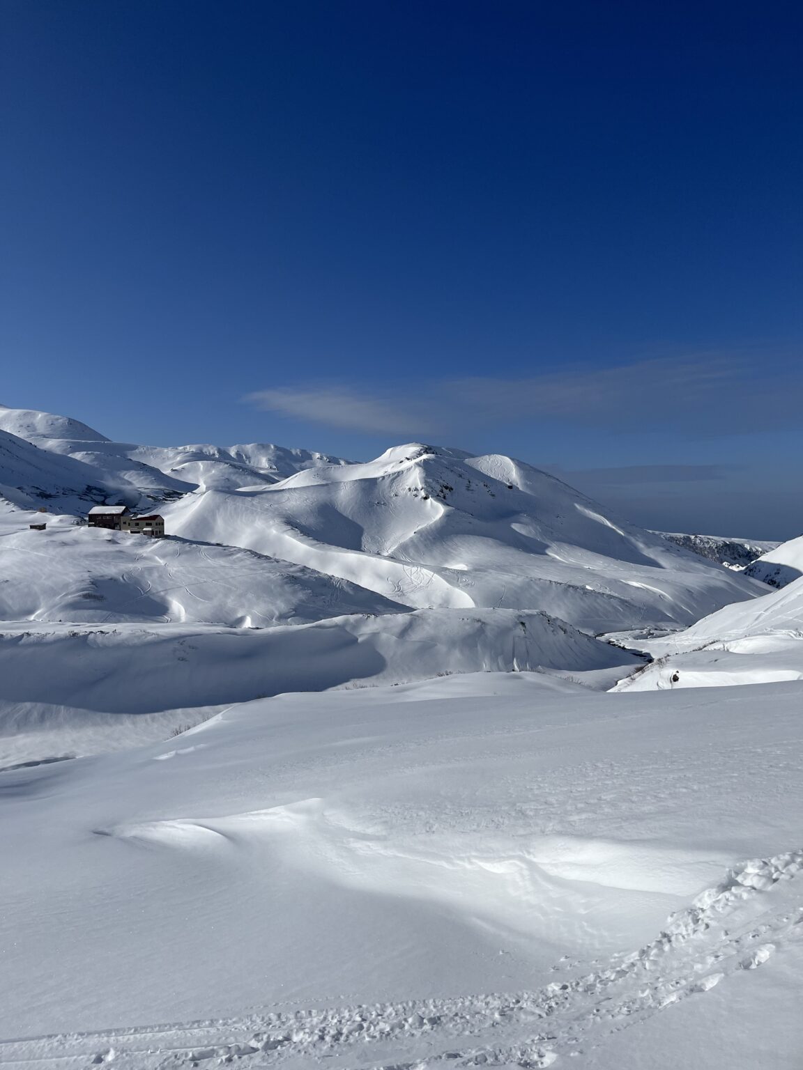 シーズンイン - tenrakatsuno