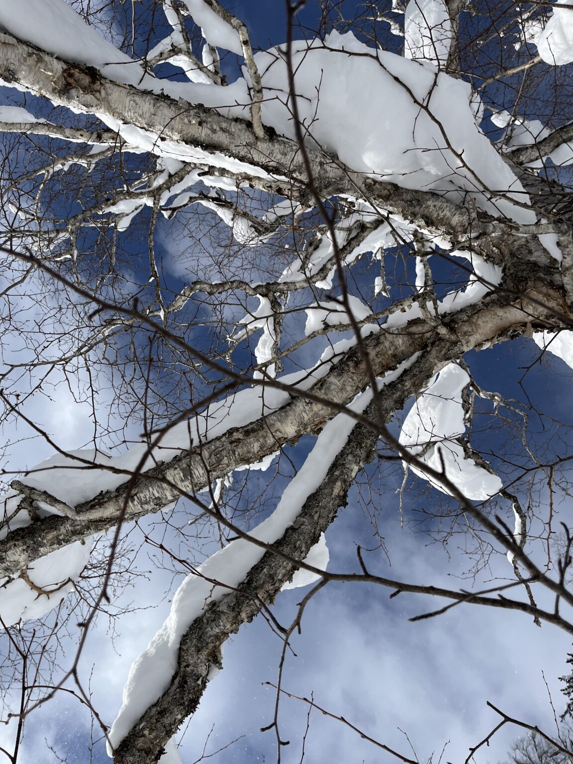 着地後の癖 - tenrakatsuno