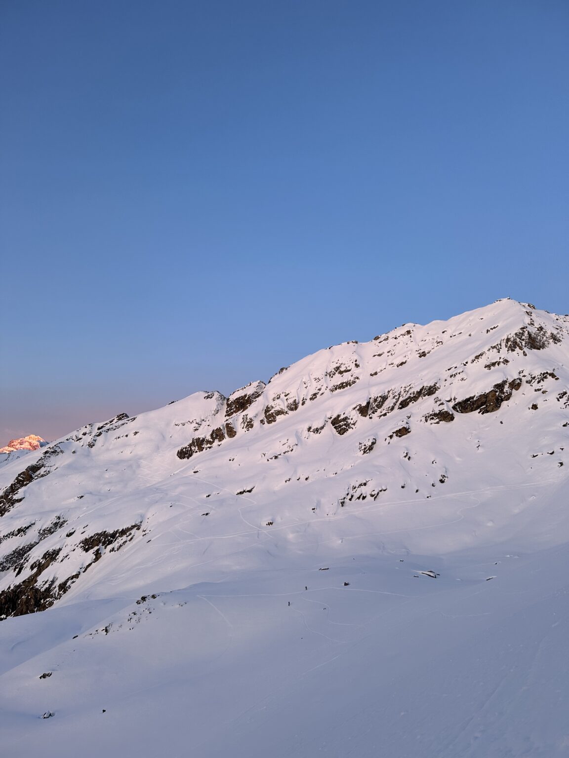 図太く - tenrakatsuno