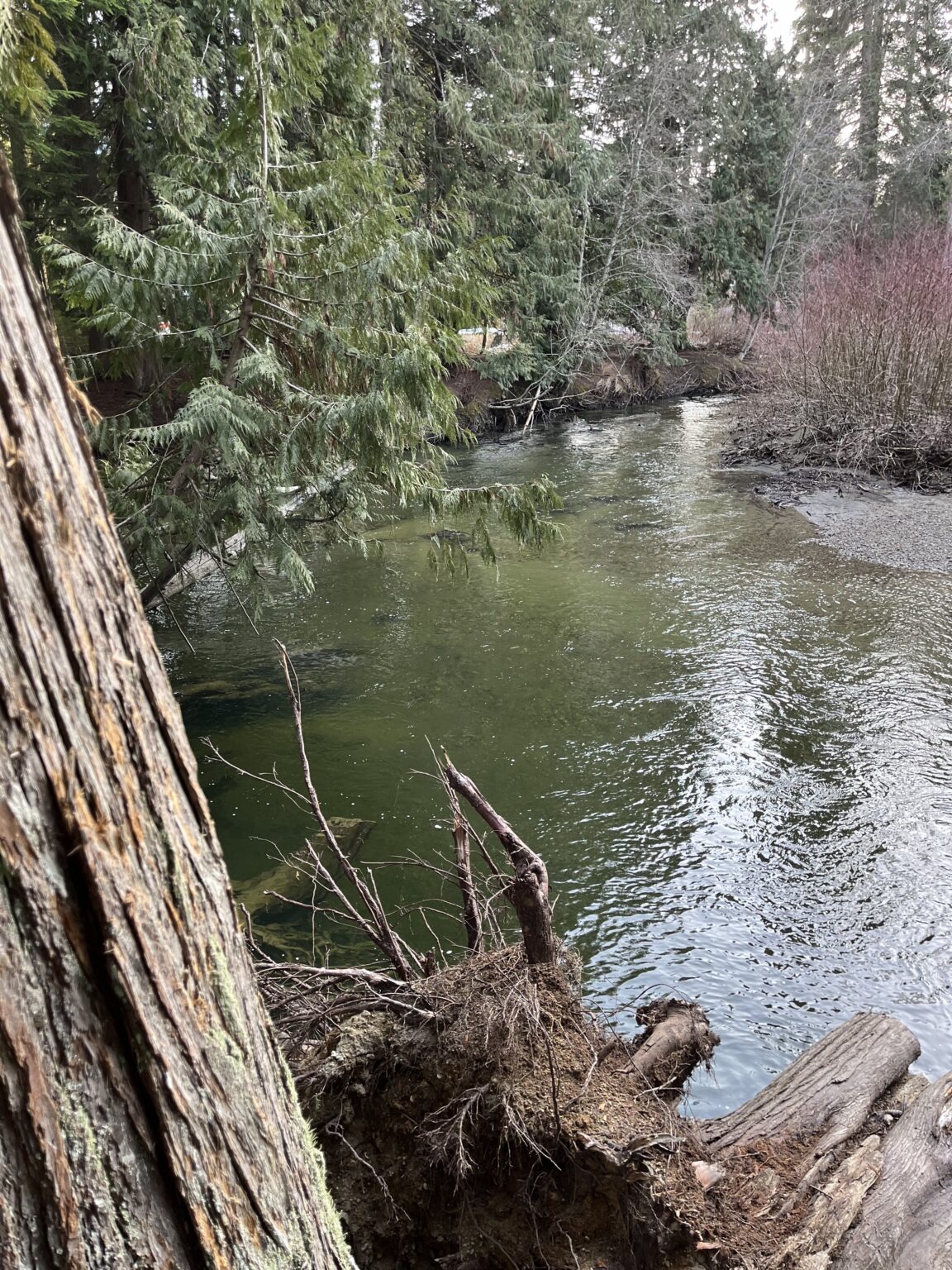 『追い込む』と生まれる『滑りやすさ』 - tenrakatsuno