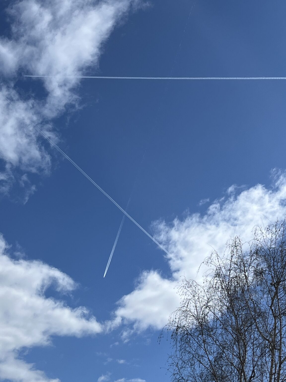 記録よりも記憶？ - tenrakatsuno