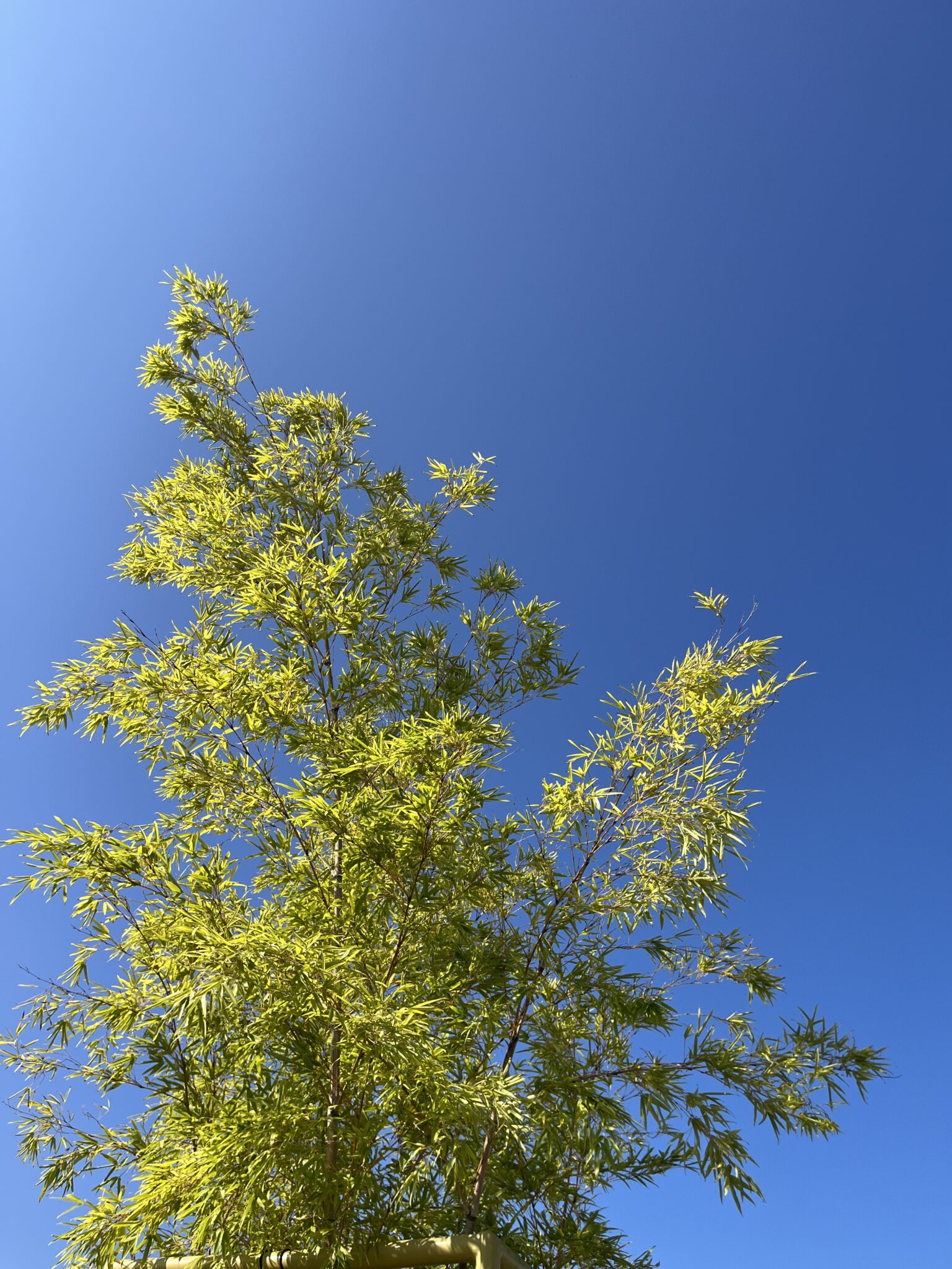 影響力か権力か - tenrakatsuno