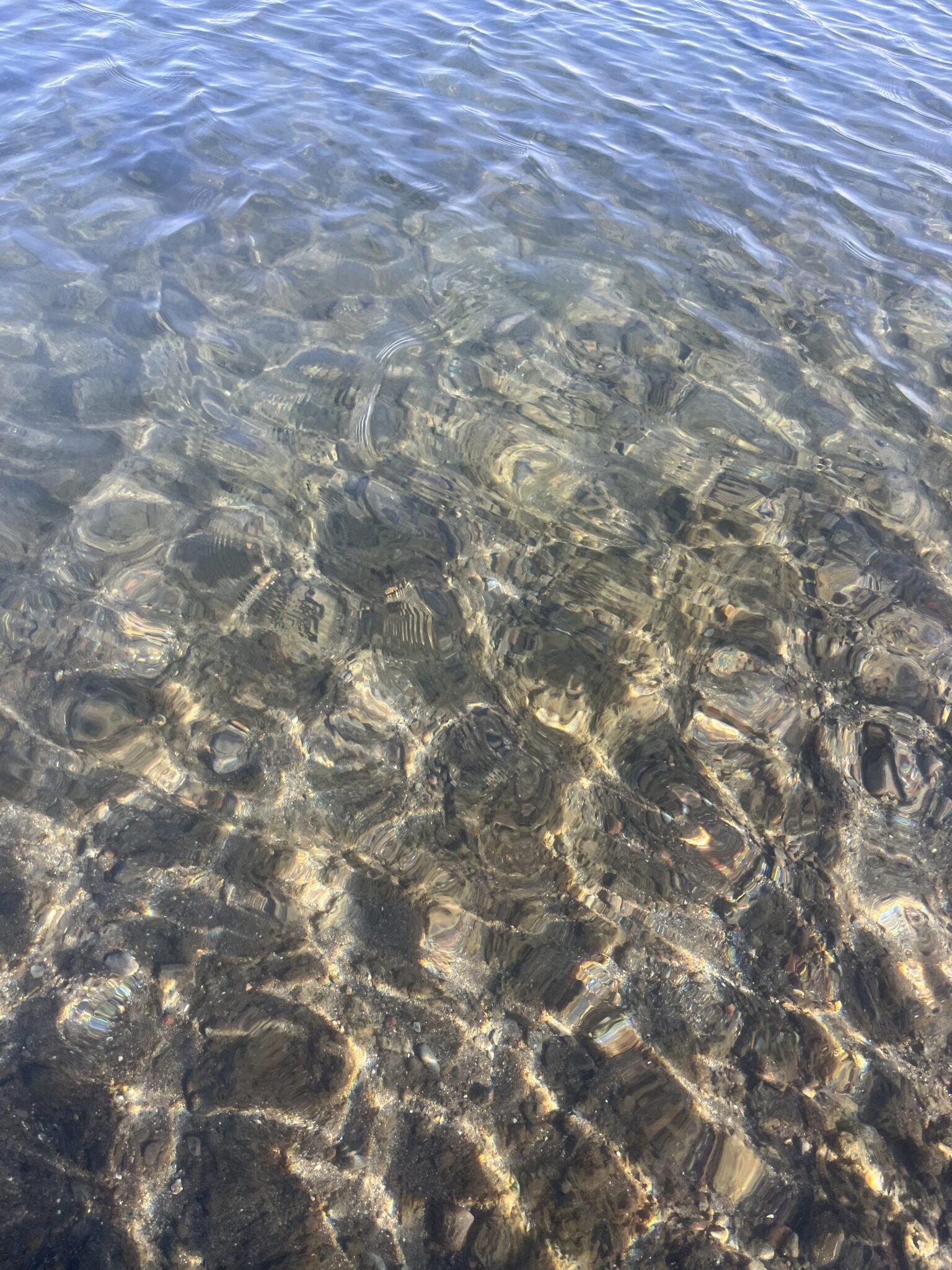 集団行動 - tenrakatsuno